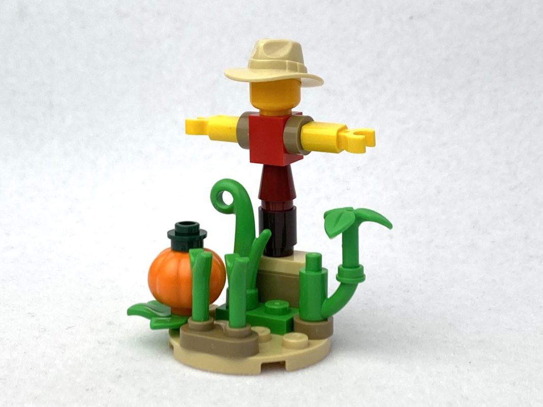 30590 Farm Garden & Scarecrow (2) - FBTB